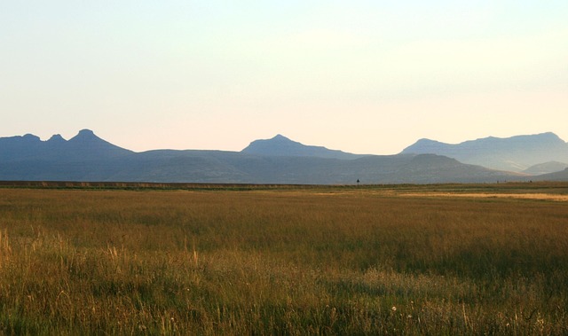 Veld Grass Landscape - Free photo on Pixabay - Pixabay