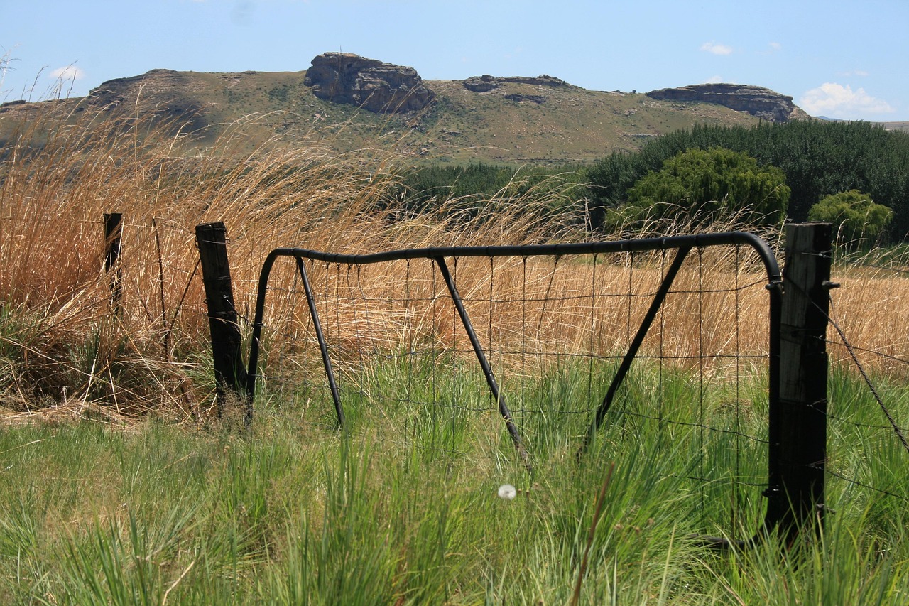 Farm Gate Veld Green Tall - Free photo on Pixabay - Pixabay