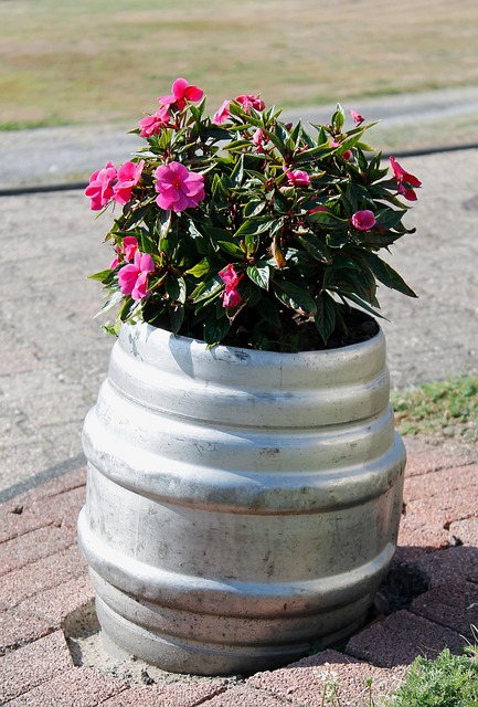 Flower Beer Keg Flowerpot - Free photo on Pixabay