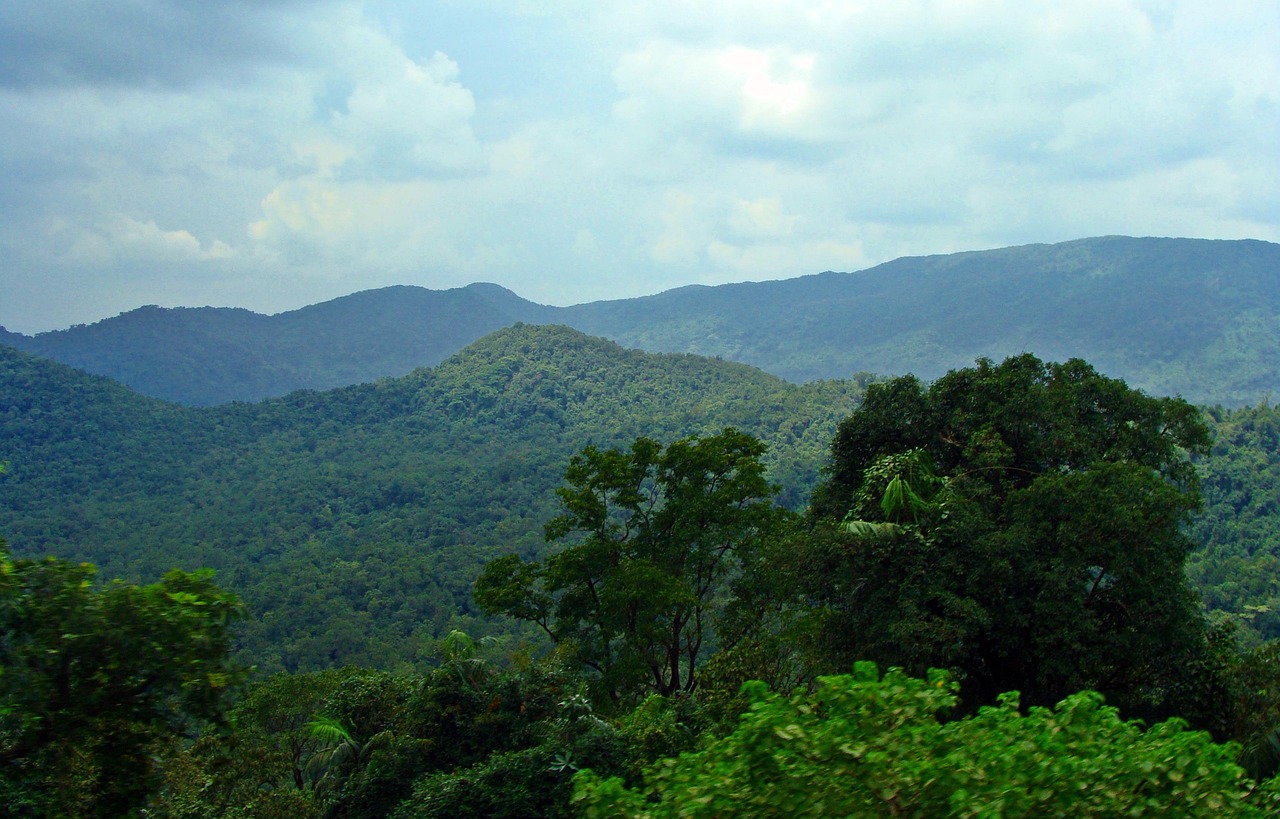 4,000+ Free Western Ghats & Western Images - Pixabay