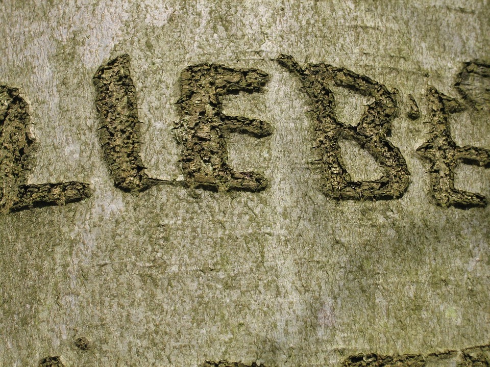 Tree By Scripture Love - Free photo on Pixabay - Pixabay