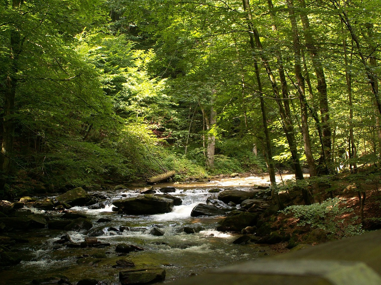 Styrie L'Autriche Paysage Des - Photo gratuite sur Pixabay - Pixabay