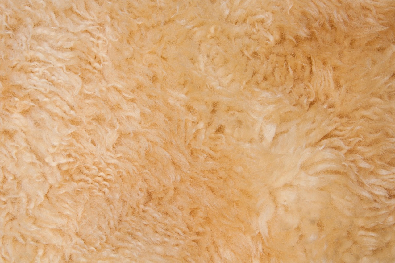 Fur Structure Fund - Free photo on Pixabay - Pixabay