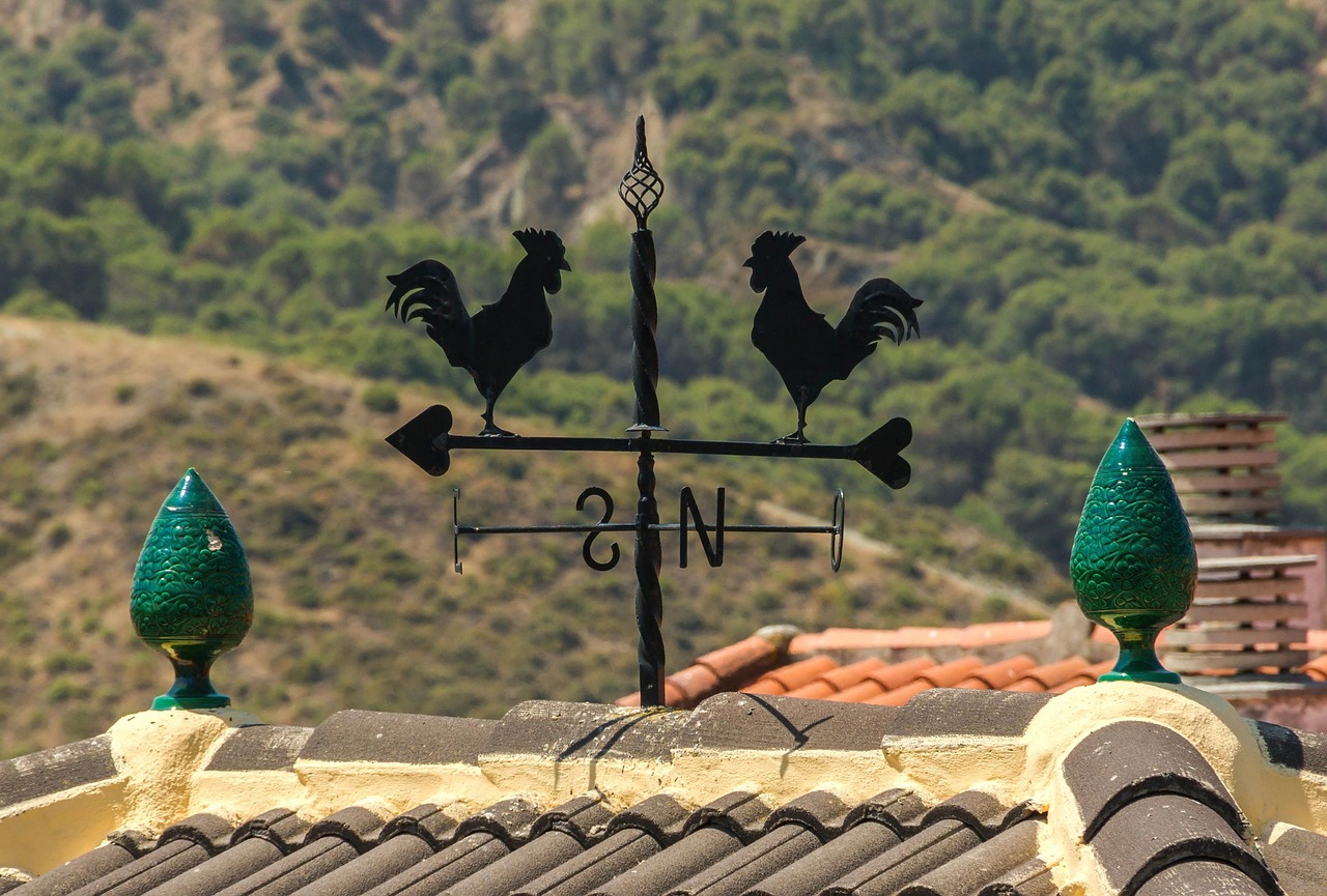 Weathercock Vane Roof - Free photo on Pixabay - Pixabay