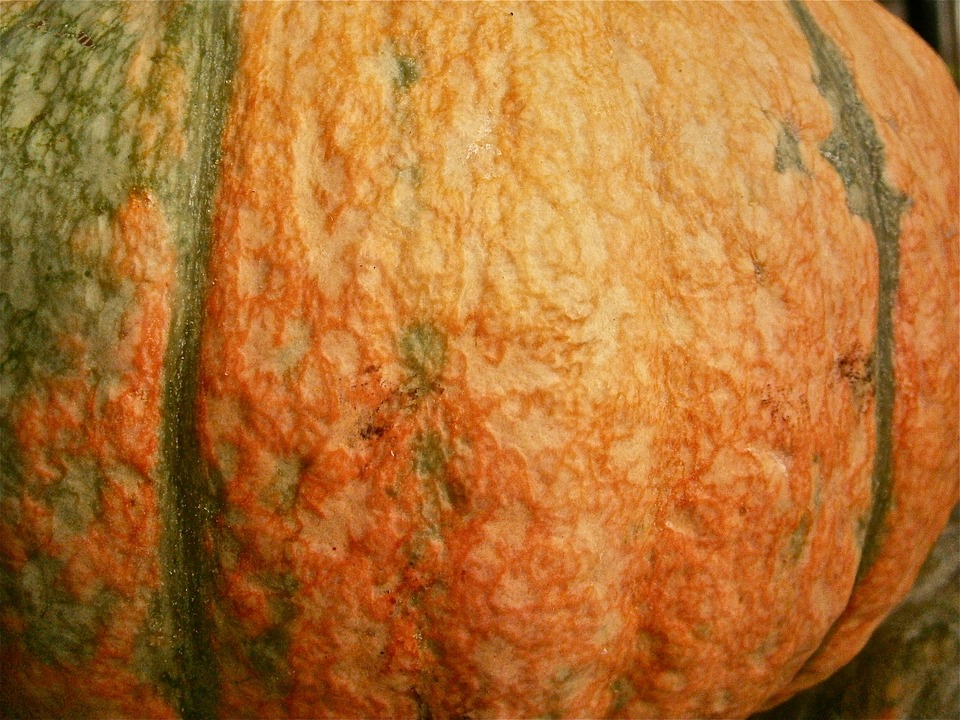 Fruit Citrouille Légume - Photo gratuite sur Pixabay - Pixabay
