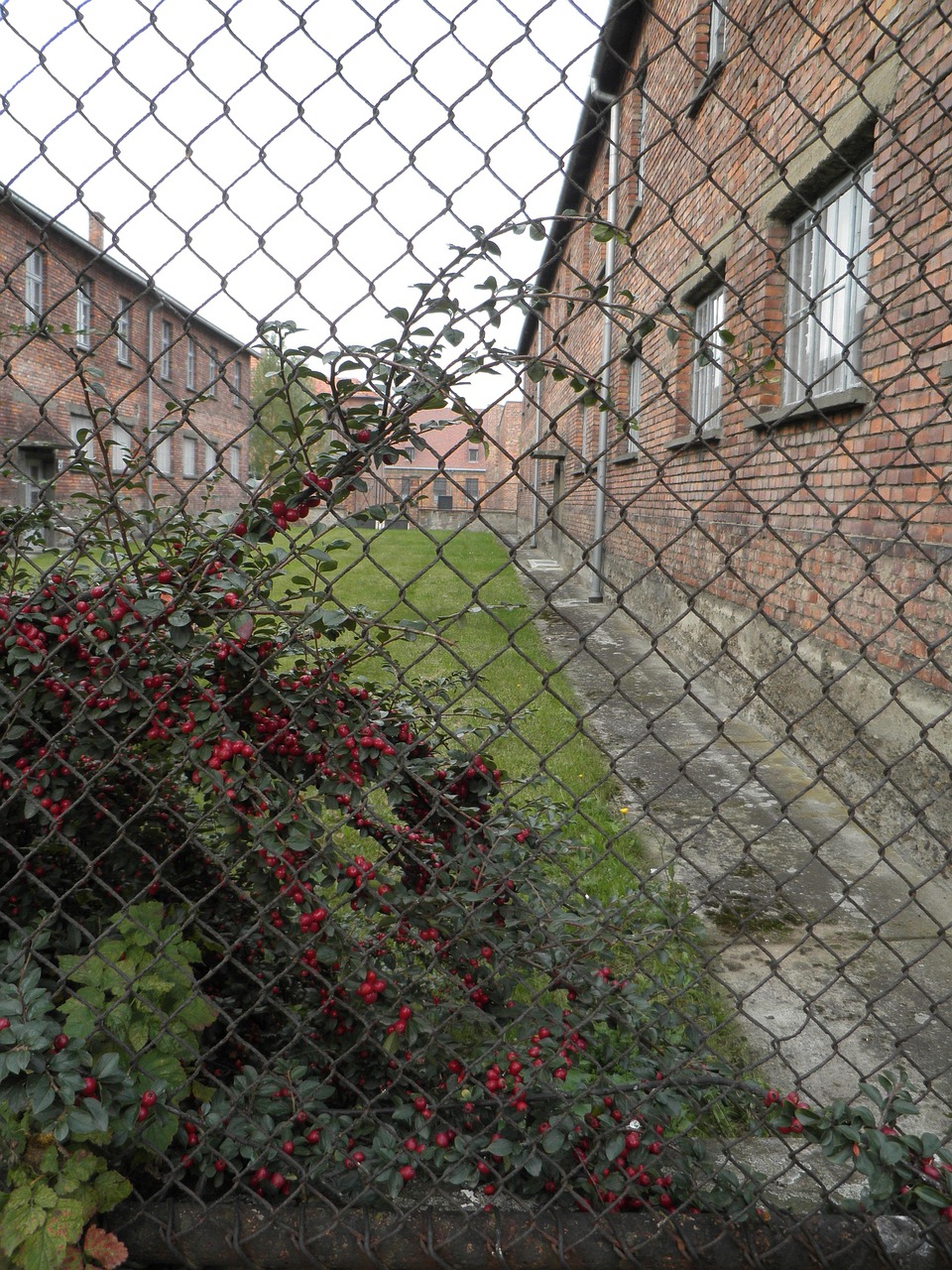 Auschwitz Concentration Camp Barak - Free photo on Pixabay - Pixabay