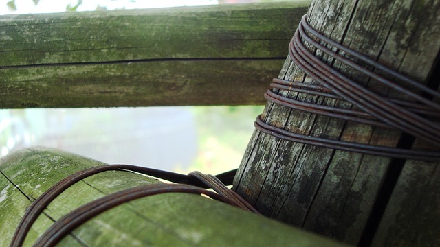 Wood Wire Nature - Free photo on Pixabay - Pixabay