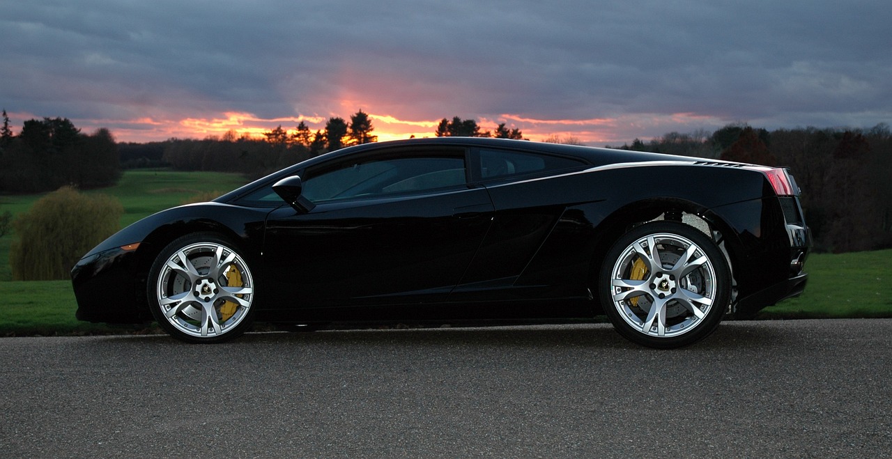 400+ Free Lambo & Cat Images - Pixabay