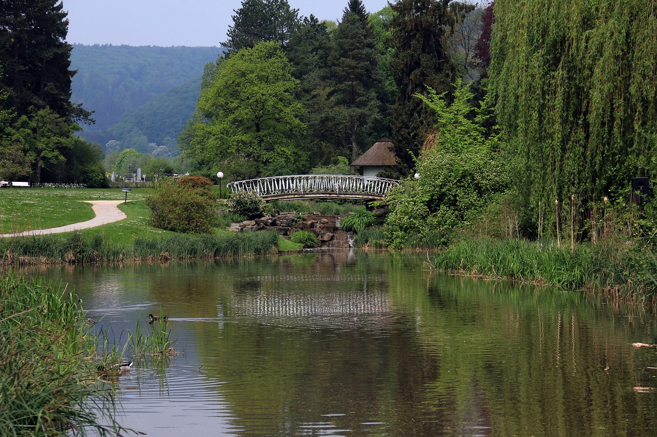 Park Lake Pond - Free photo on Pixabay - Pixabay