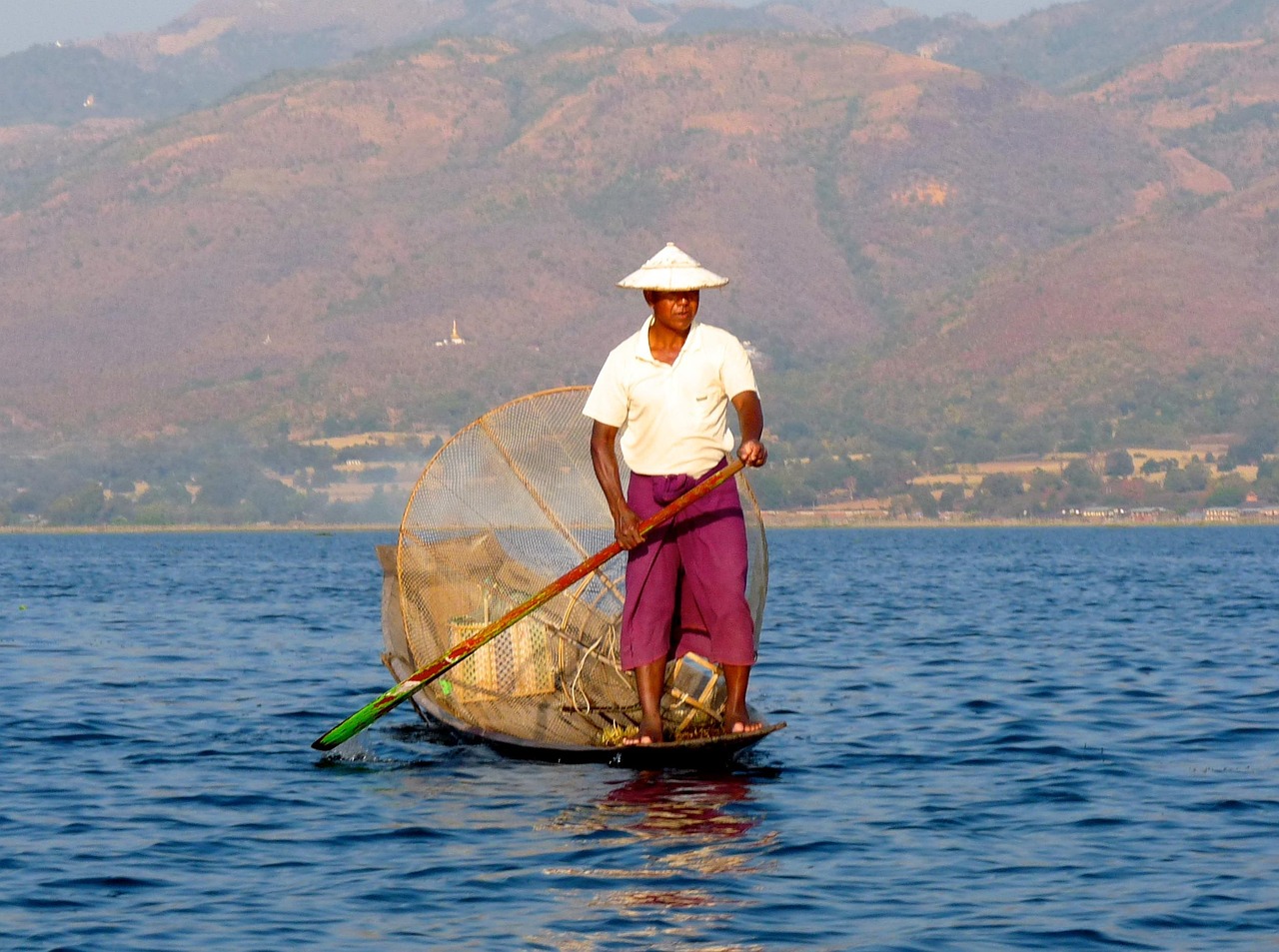 10,000+ Free Oar Fish & Nature Images - Pixabay