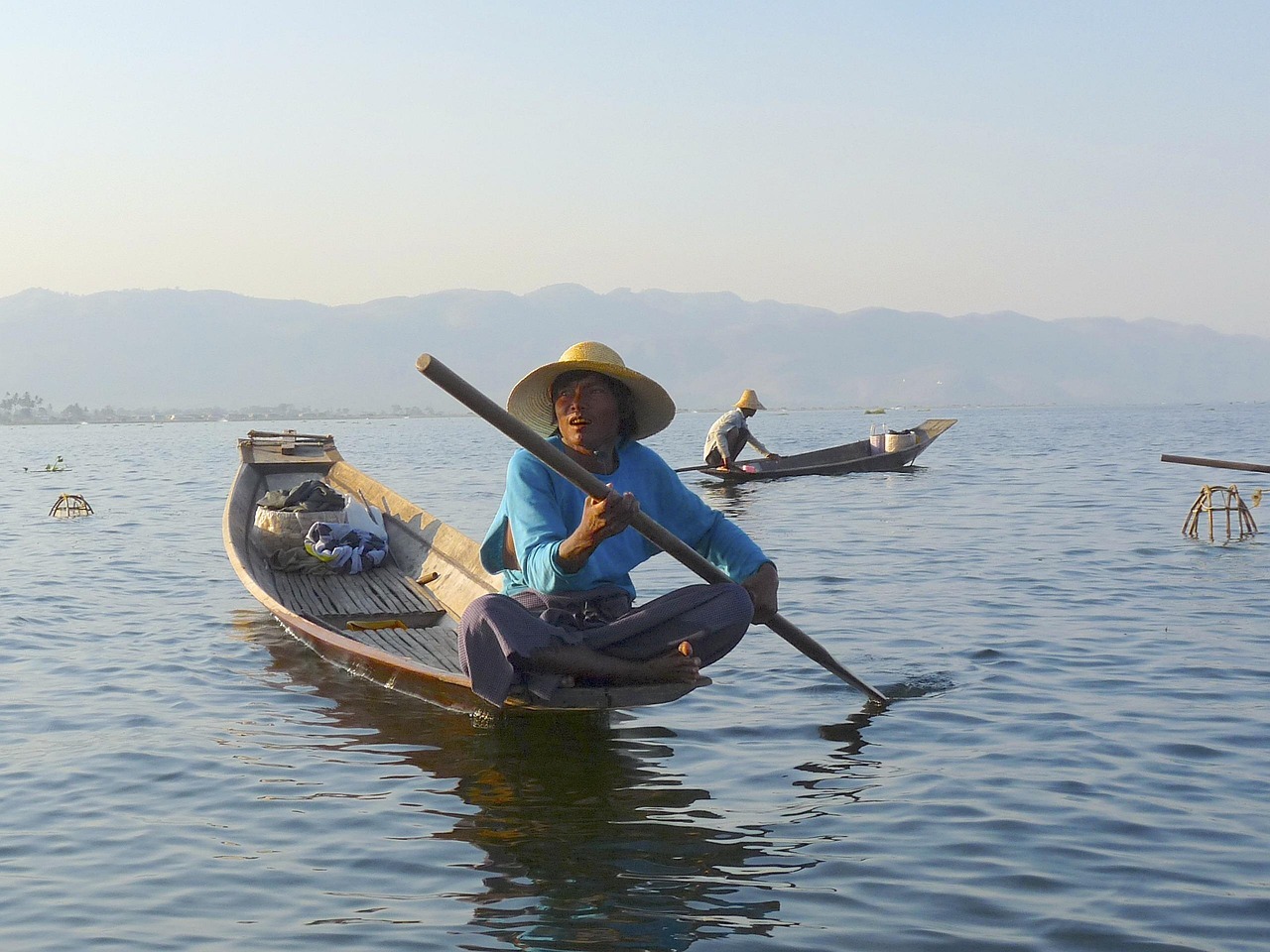 10,000+ Free Oar Fish & Nature Images - Pixabay