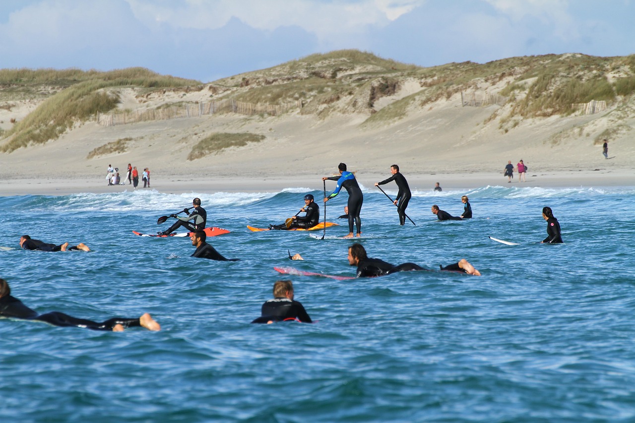 6,000+ Free Surfing & Surfer Images - Pixabay