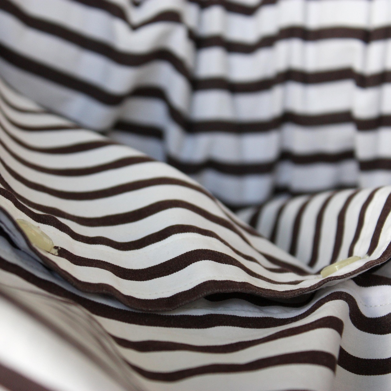 Shirt Zebra Material - Free photo on Pixabay