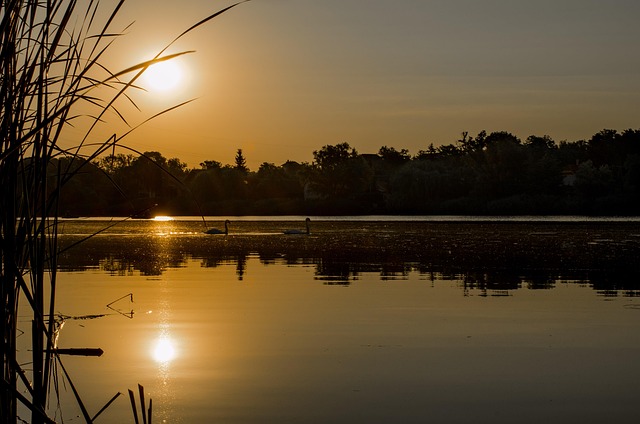 Early In The Morning Sunrise - Free photo on Pixabay - Pixabay