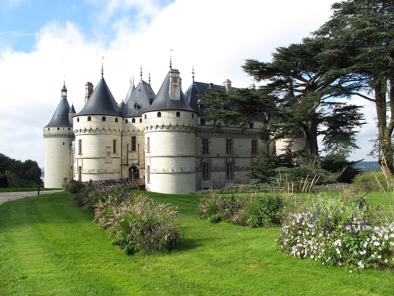 300+ Free Domaine Intervention & Domain Images - Pixabay