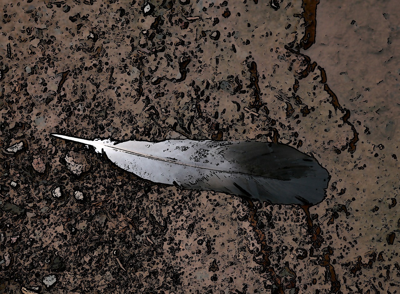 Download Feather, Bird, Feathers. Royalty-Free Stock Illustration Image ...