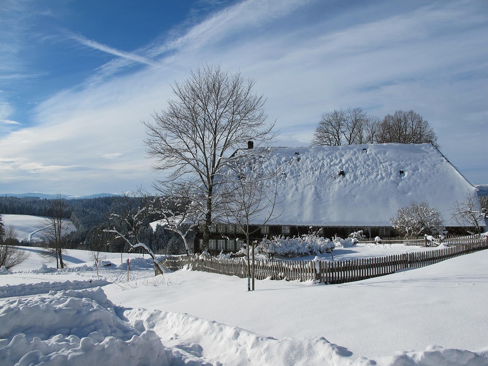 Winterlandschaft Im Schwarzwald - Kostenloses Foto auf Pixabay - Pixabay