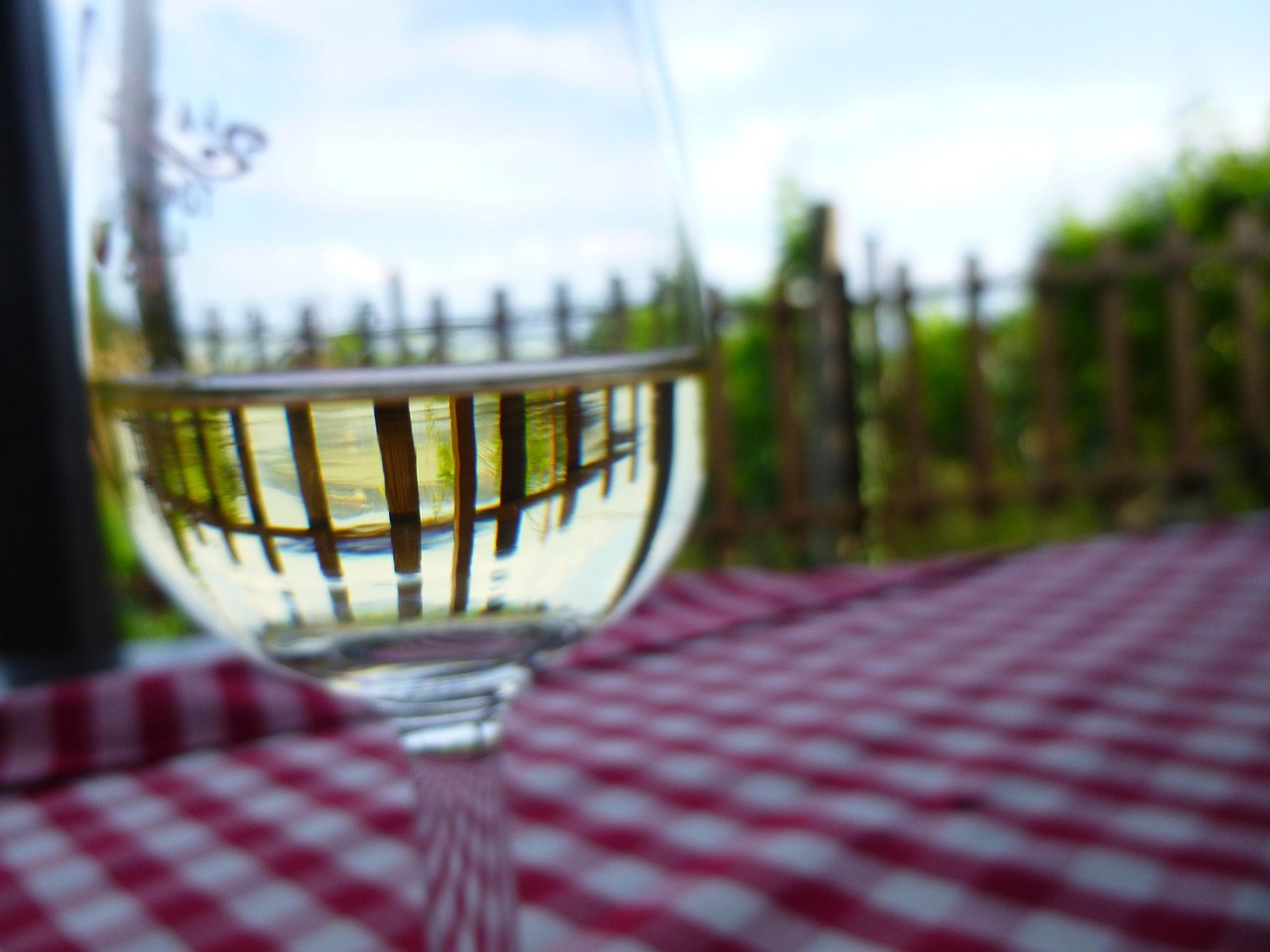Página 7 - Más de 20 000 imágenes gratis de Copa De Vino y Vino - Pixabay