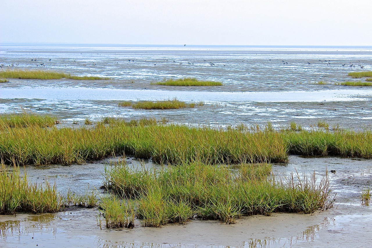 Laut Gumpalan Utara Pesisir - Foto gratis di Pixabay - Pixabay