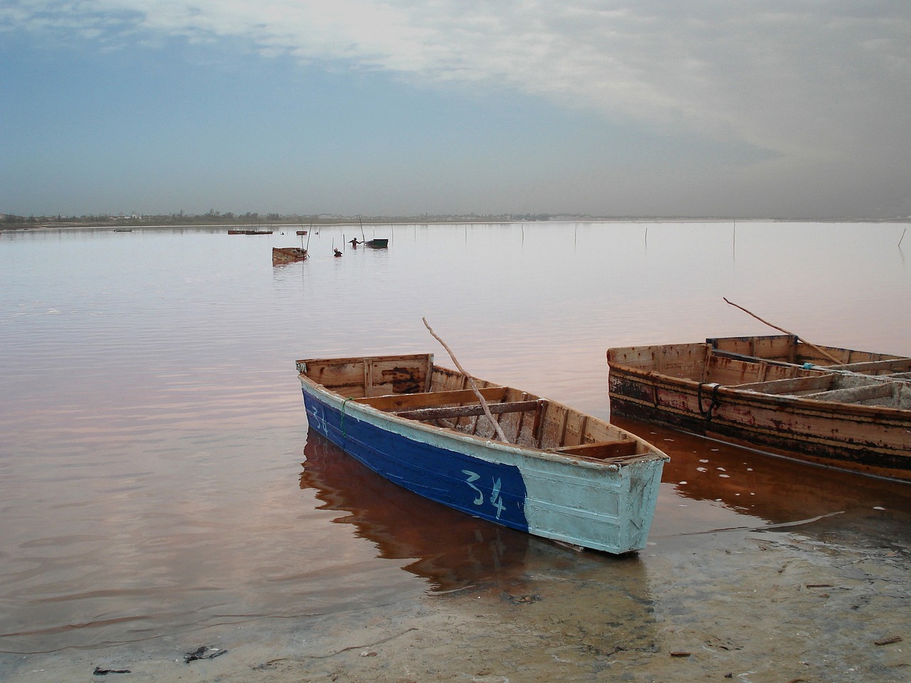 100+ Free Senegal & Nature Images - Pixabay