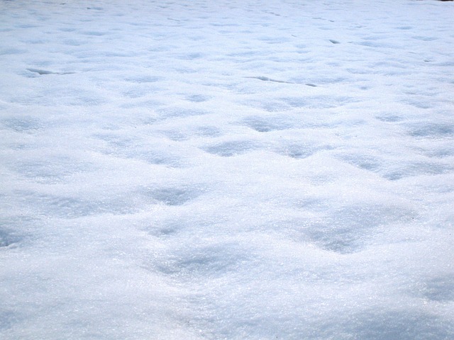 Neve Inverno Branco - Foto gratuita no Pixabay - Pixabay