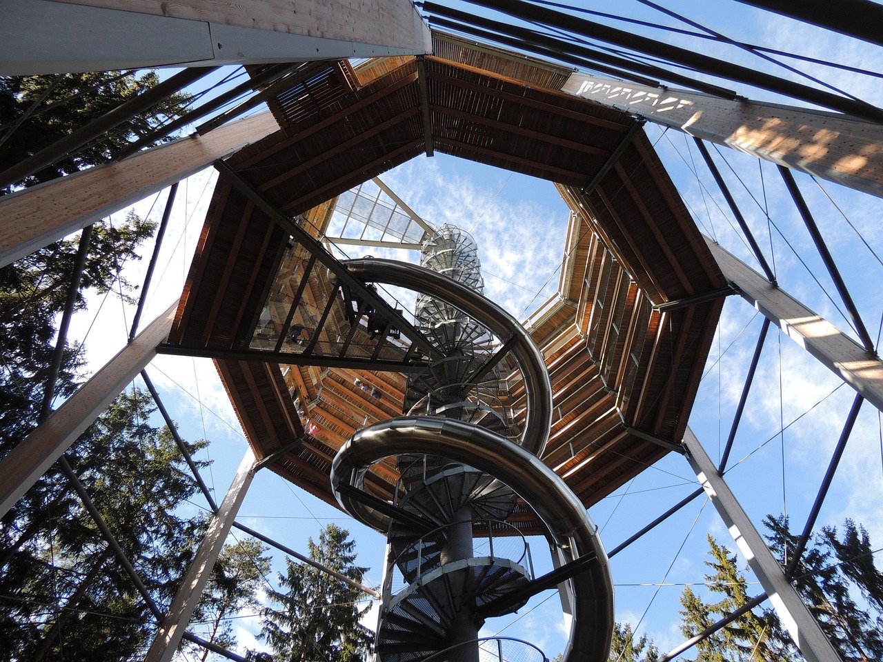 Trail Through The Treetops Trip - Free photo on Pixabay