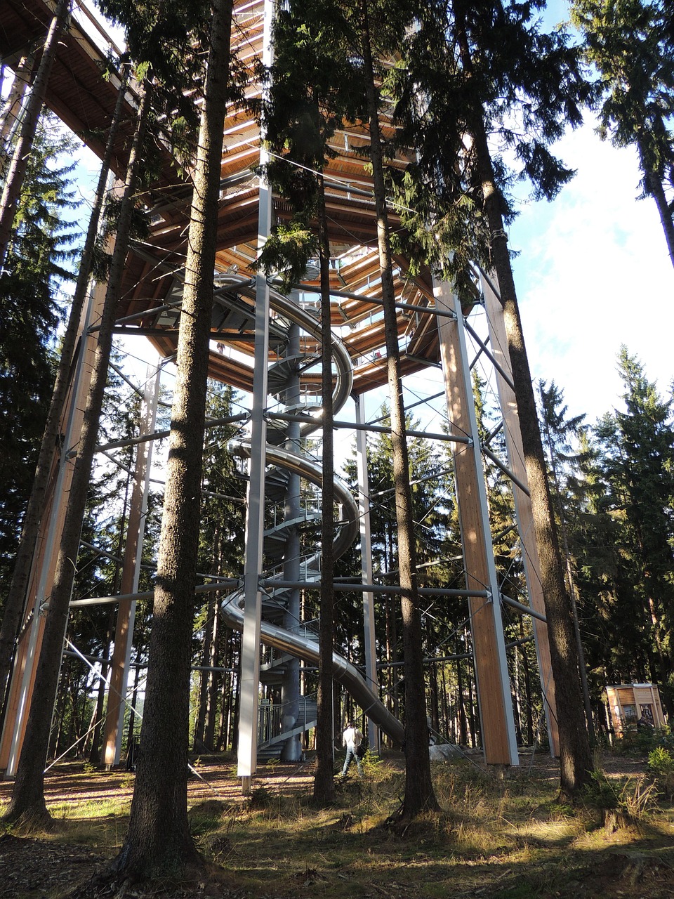 Trail Through The Treetops Trip - Free photo on Pixabay - Pixabay