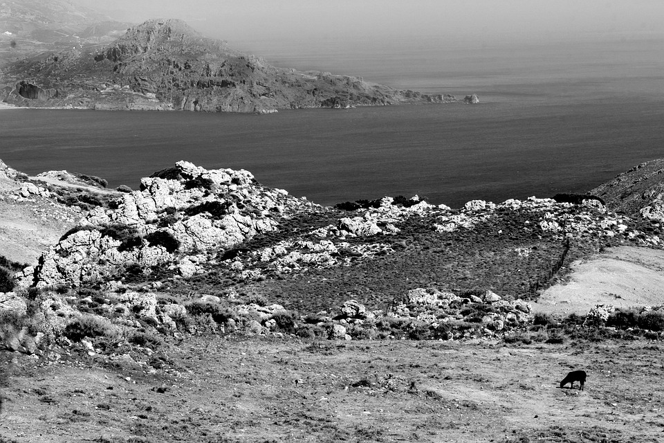 Field Seaside Crete Black And - Free photo on Pixabay - Pixabay