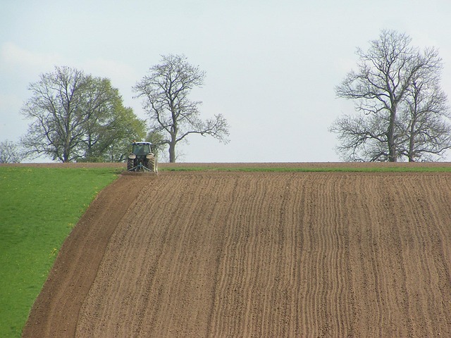 Belgia Lapangan Field - Foto gratis di Pixabay - Pixabay