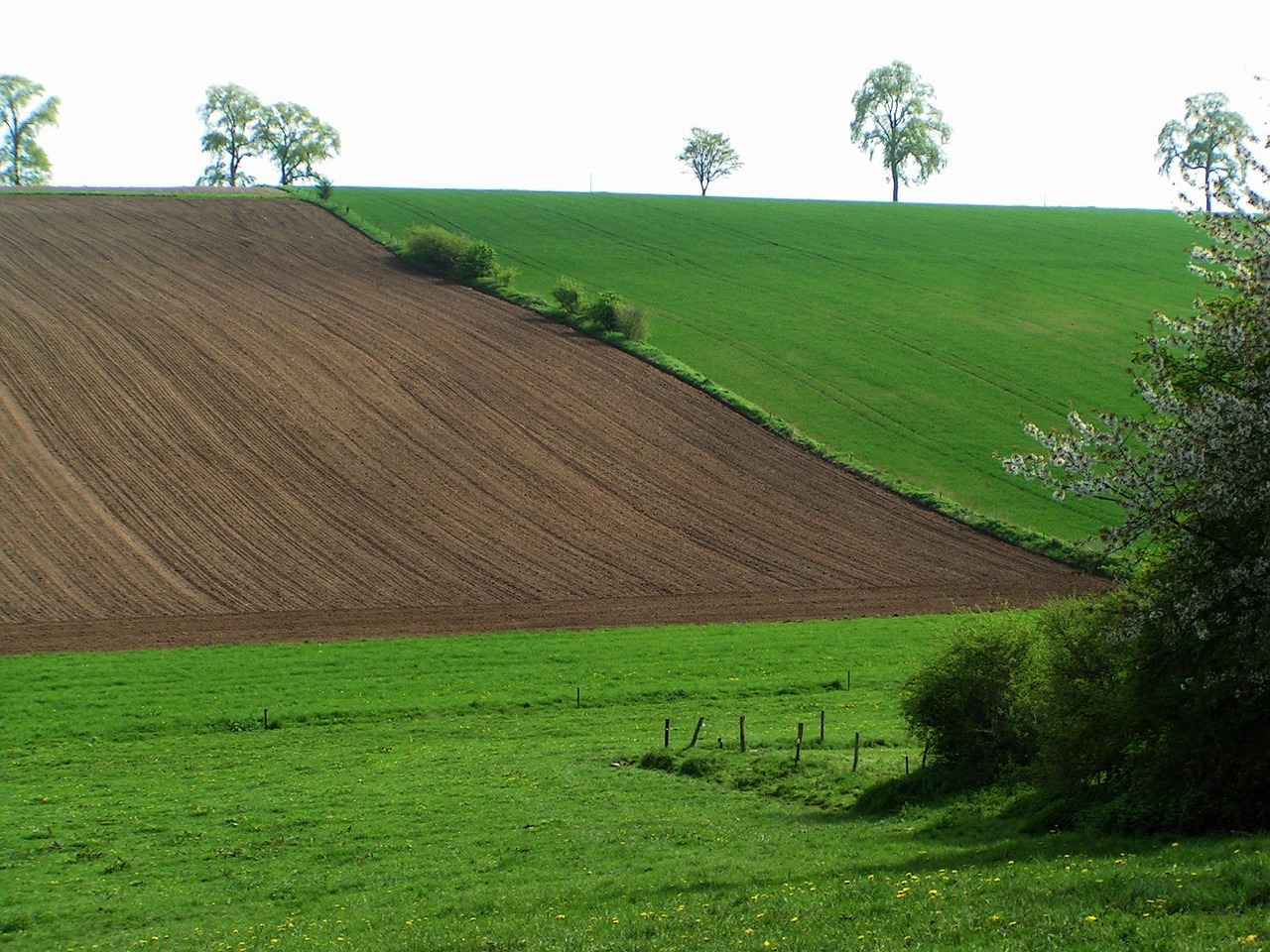 Belgium Landscape Field - Free photo on Pixabay