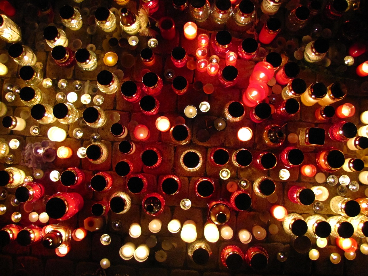 40,000+ Free Day Of The Dead & Earth Day Images - Pixabay