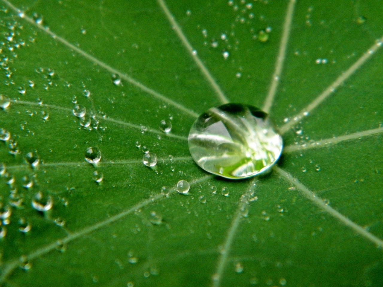 Waterdrop Water Transparent - Free photo on Pixabay - Pixabay