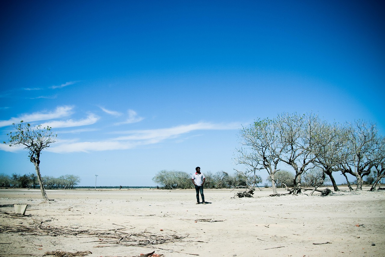 40,000 + 무료 Lonely Tree Desert & 자연 이미지 - Pixabay