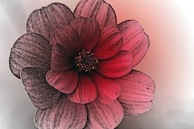 Merah Bunga Seni Digital Karya - Gambar gratis di Pixabay - Pixabay