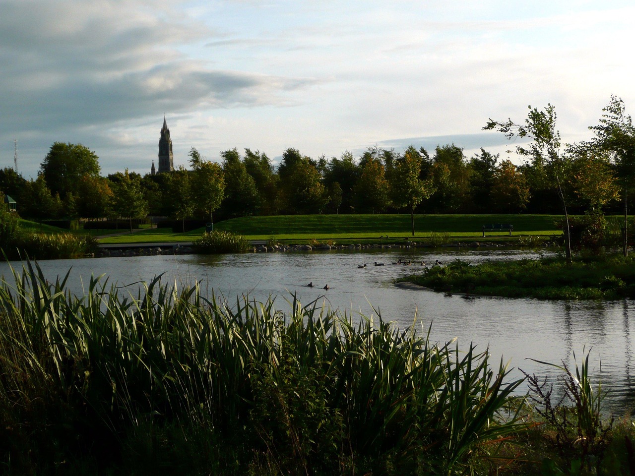 300+ Free Irish Green & Irish Images - Pixabay