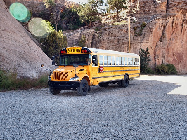 Skolbuss Usa - Gratis foto på Pixabay - Pixabay