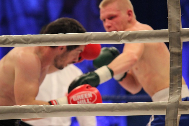 8,000+ Free Boxing Ring & Boxing Images - Pixabay