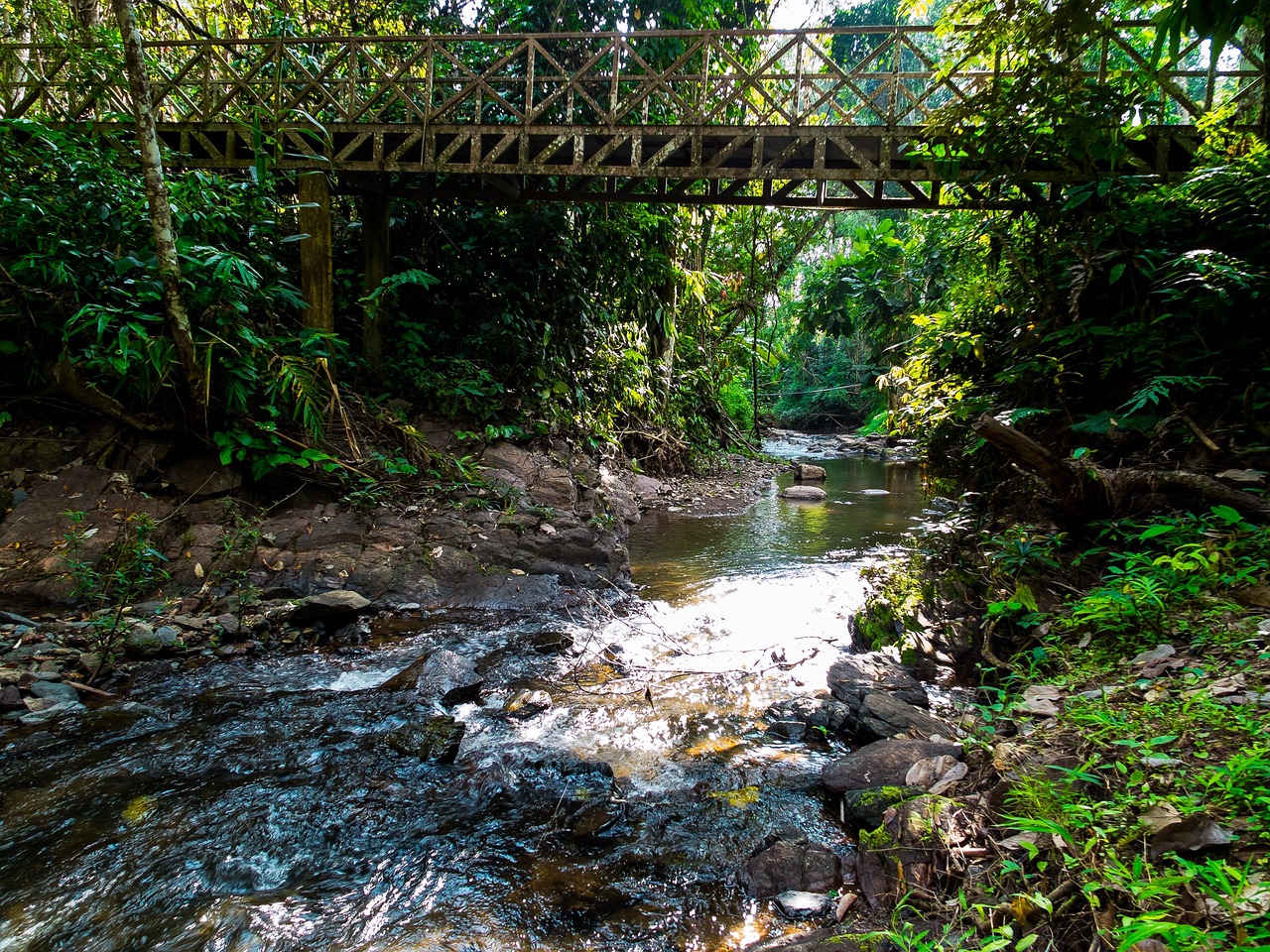 River Landscape Bridge North - Free photo on Pixabay - Pixabay