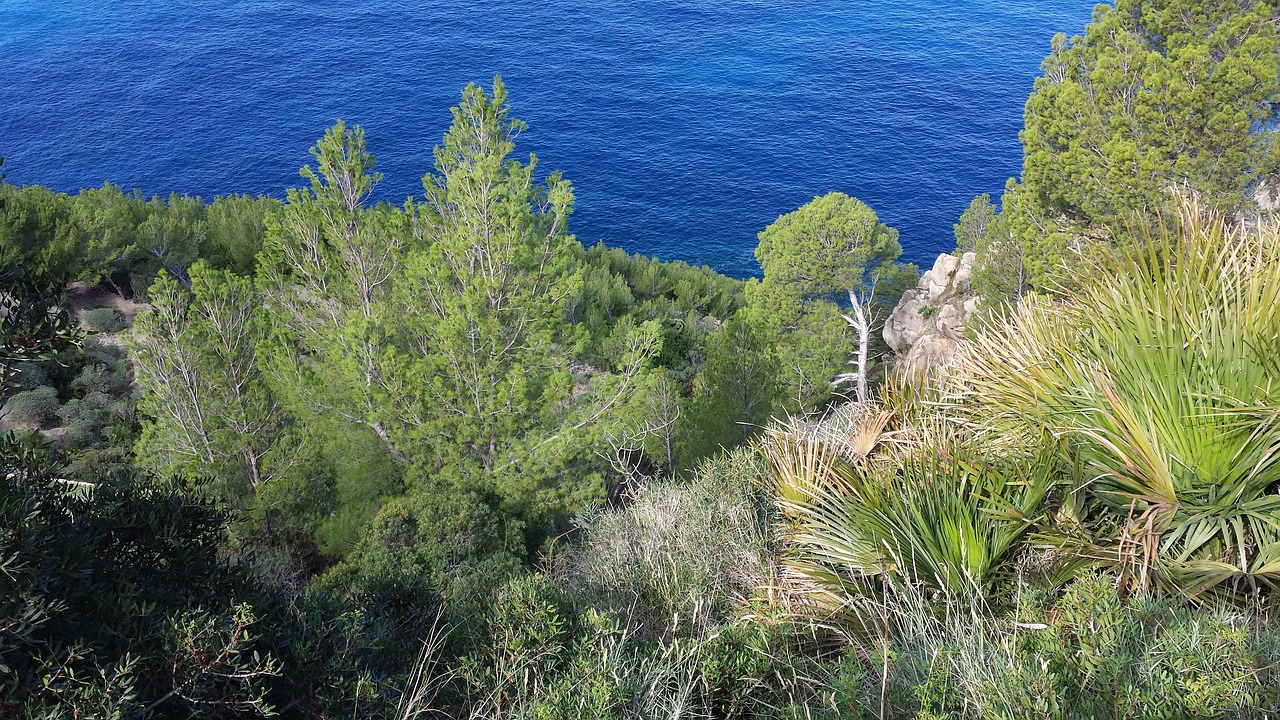 Vue Sur La Mer Paysage Majorque - Photo gratuite sur Pixabay - Pixabay