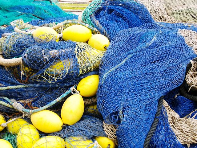 300+ kostenlose Fischernetz und Fischfang-Bilder