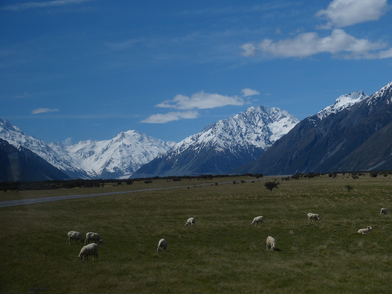 New Zealand Nature Landscape South - Free photo on Pixabay