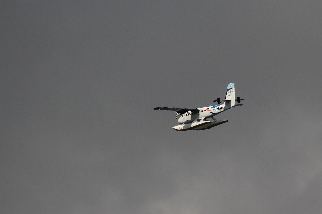 Plane Fly Air - Free photo on Pixabay
