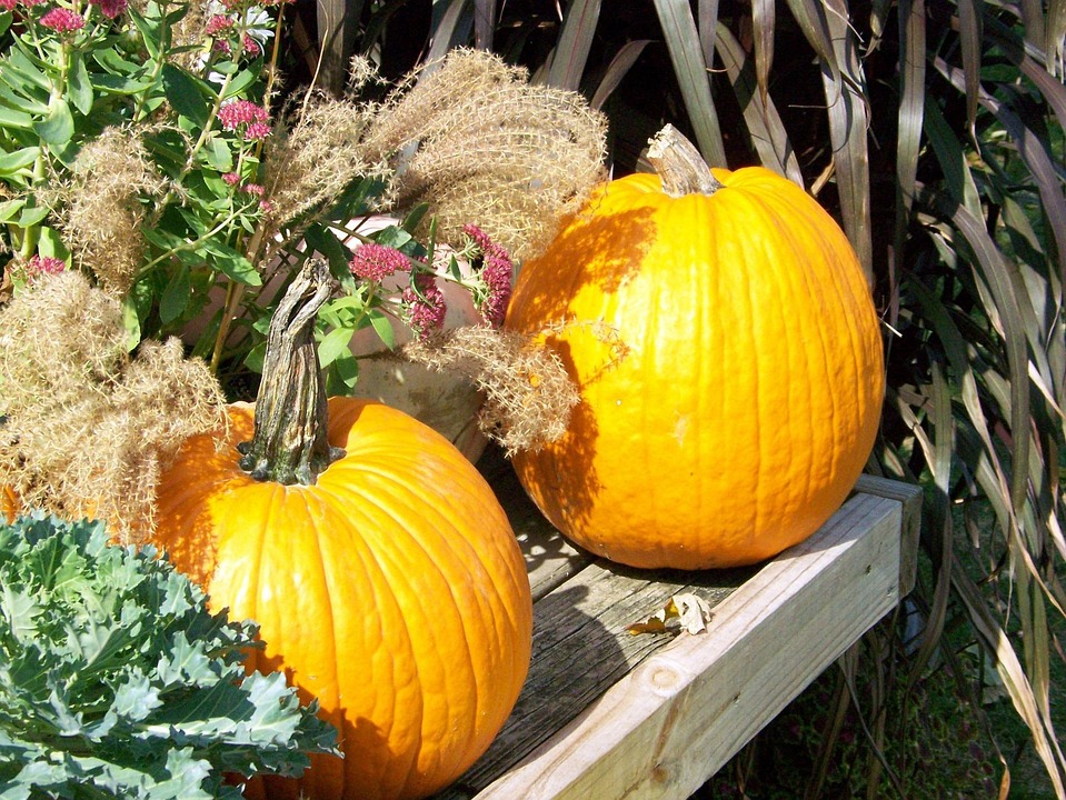 Automne Citrouilles Halloween - Photo gratuite sur Pixabay - Pixabay