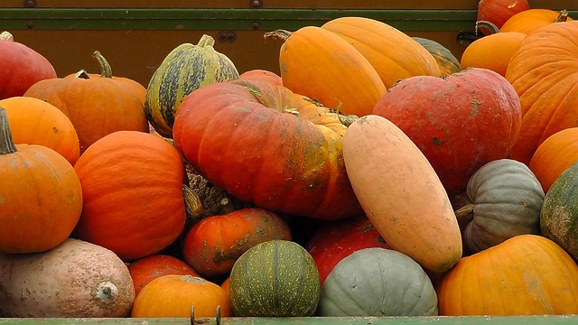 Calabazas Otoño De - Foto gratis en Pixabay - Pixabay