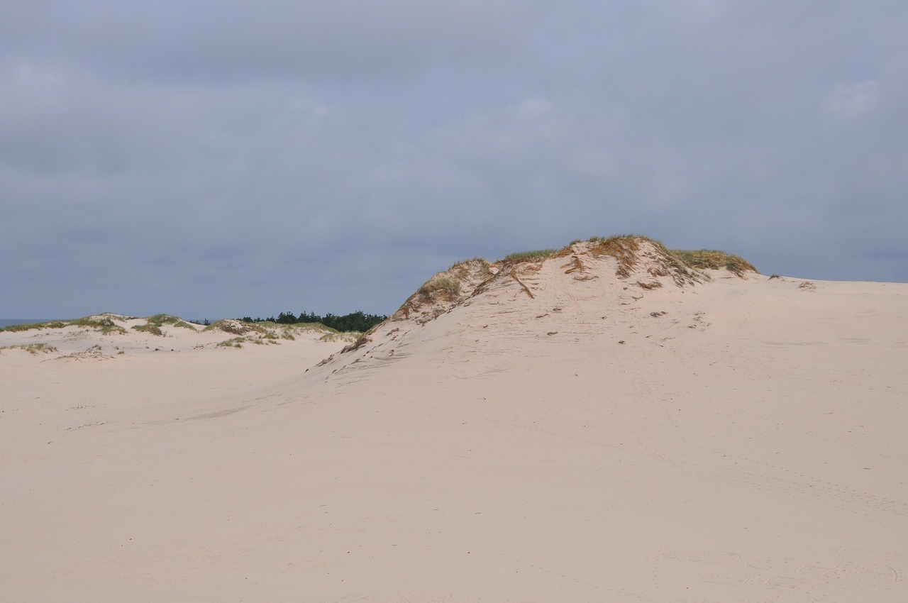 The Sand Dunes Moving - Free photo on Pixabay
