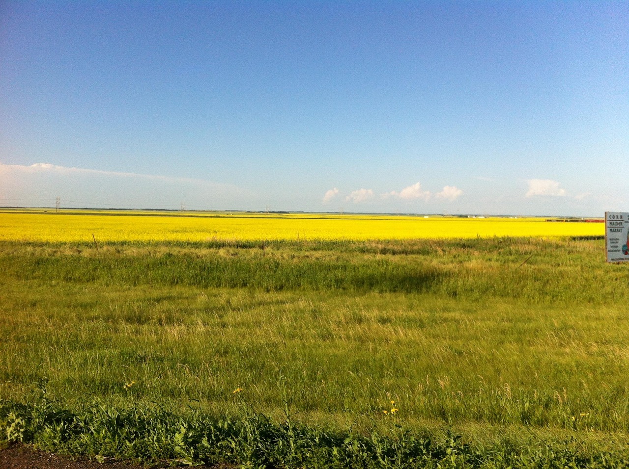 Prairie Countryside Canola - Free photo on Pixabay