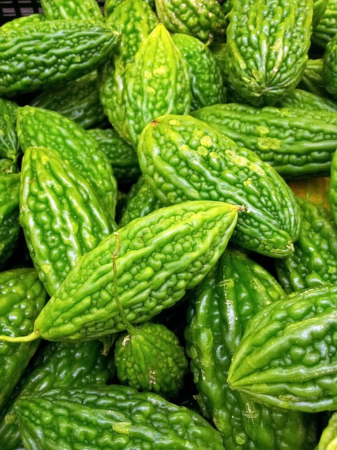 2,000+ Free Bitter Gourd & Bitter Melon Images - Pixabay