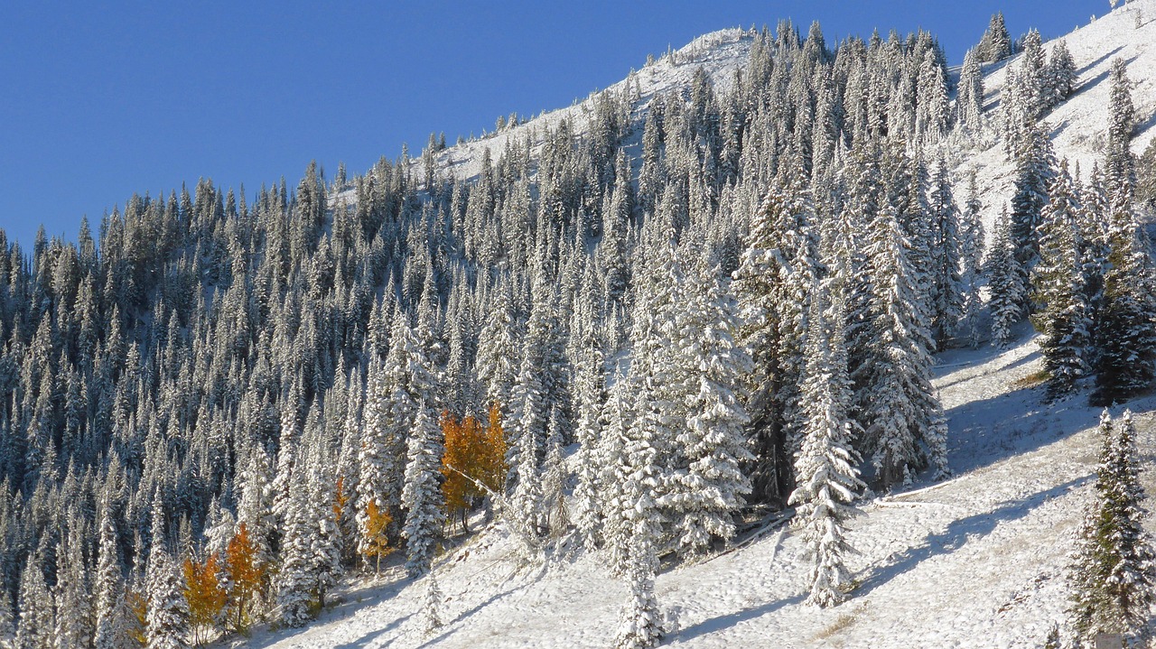 Colorado Lado Da Montanha Neve - Foto gratuita no Pixabay - Pixabay