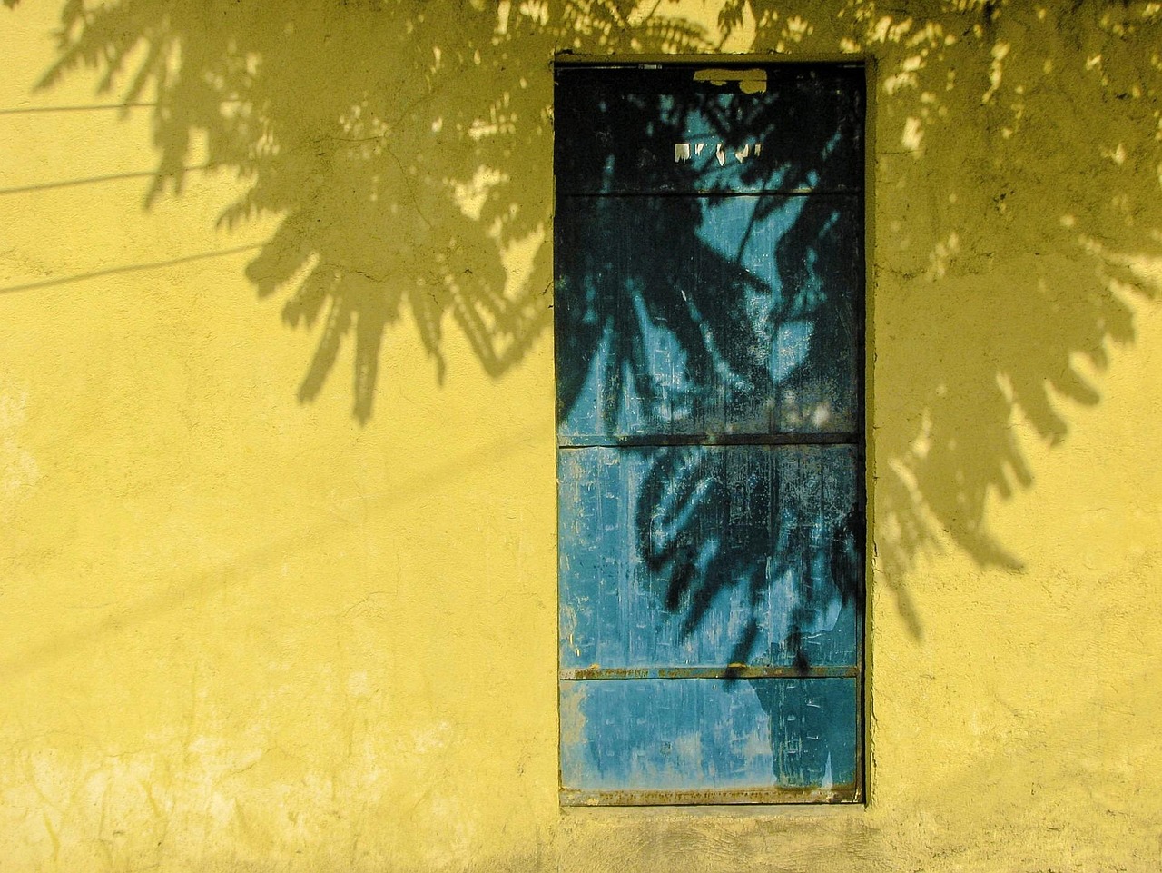 10,000+ Free Back Door & Door Photos - Pixabay