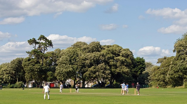50+ Free Cricket Match & Cricket Images - Pixabay